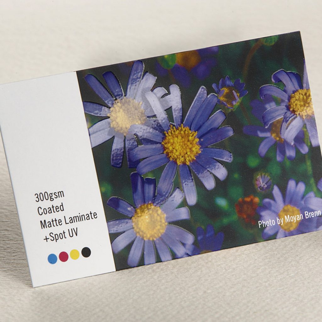 300gsm-coated-matte-laminate-spot-uv - Inkable Australia