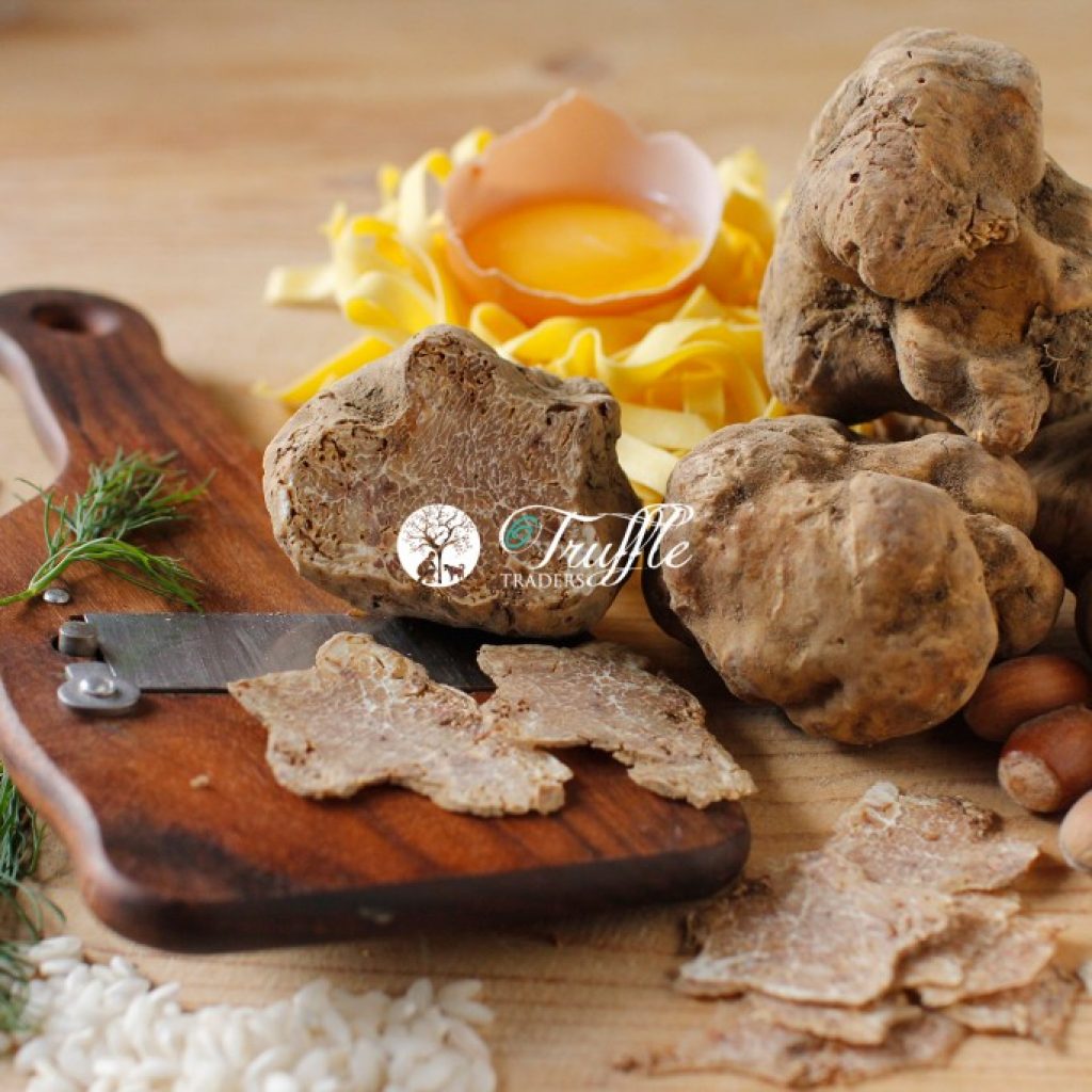 Inkable Spotlight: TRUFFLE TRADERS - Inkable Australia